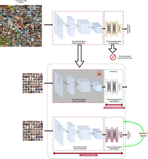 Practical Deep Learning for coders | Wunderman Thompson Technology