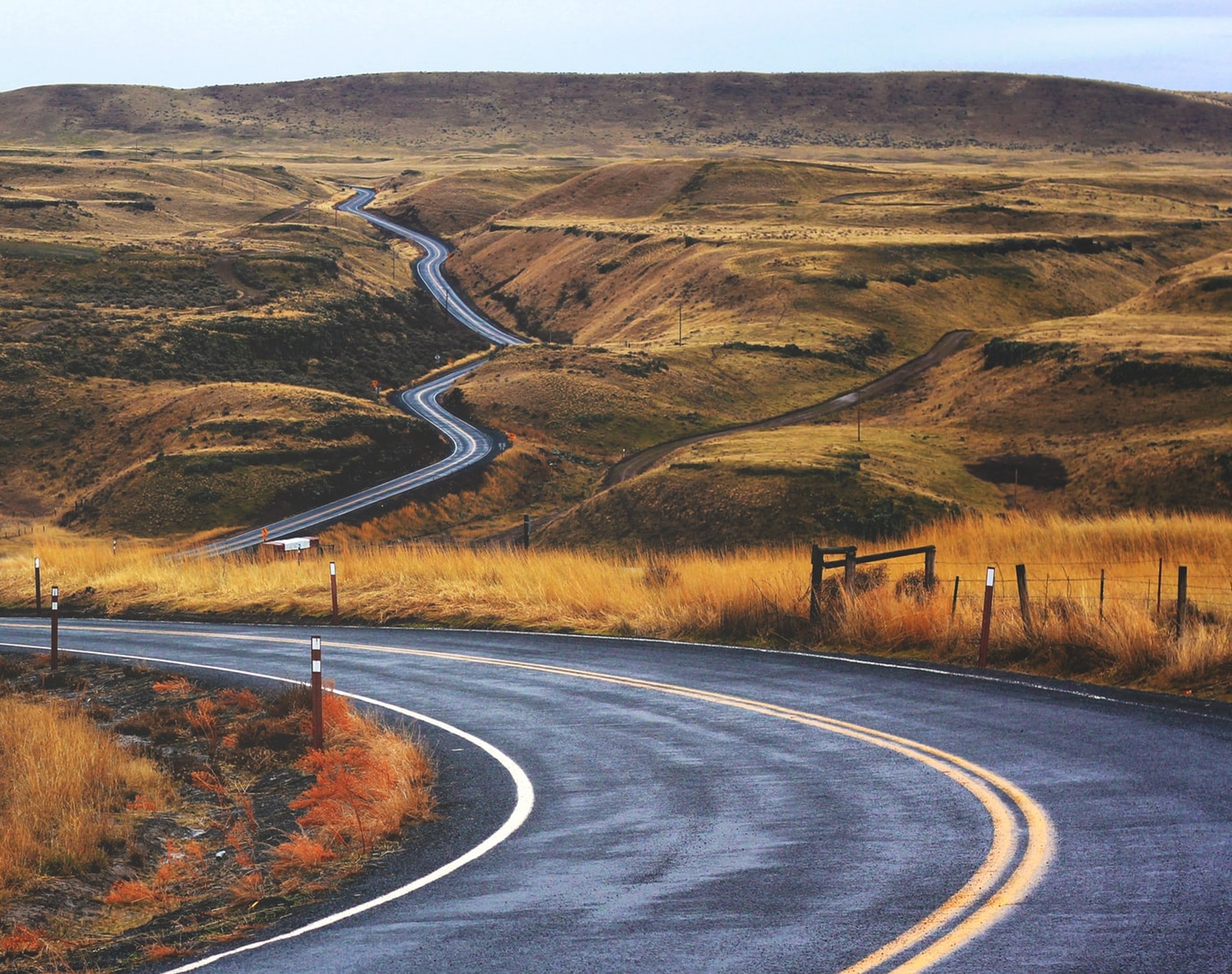 Wunderman Thompson Technology